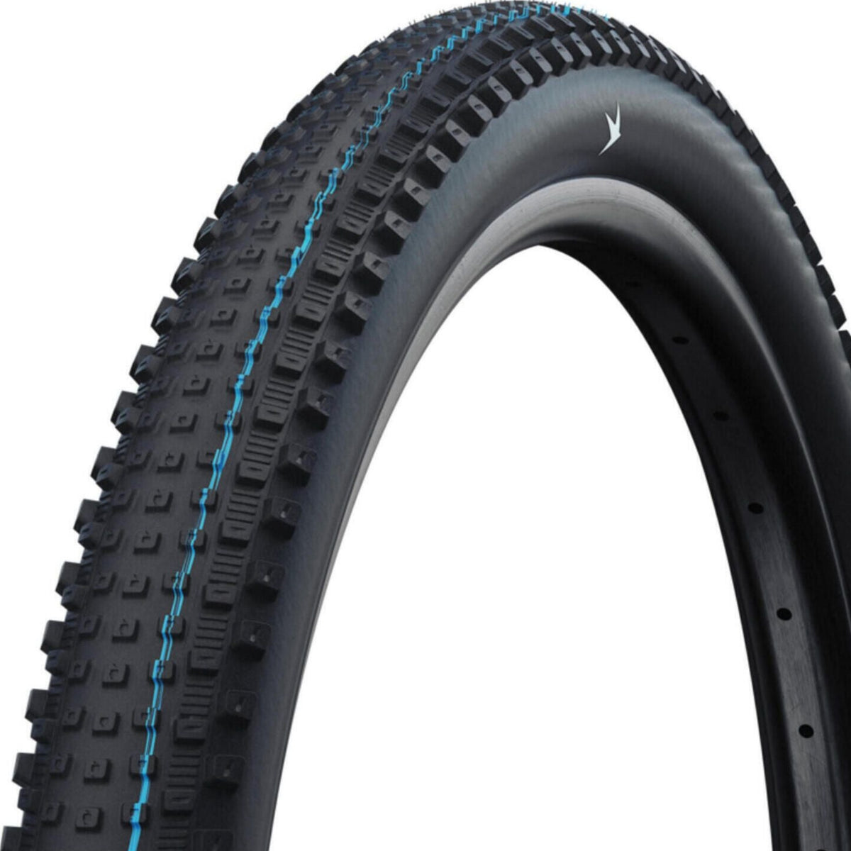 Schwalbe Rick XC PRO TLR Folding Tire – Full Cycle